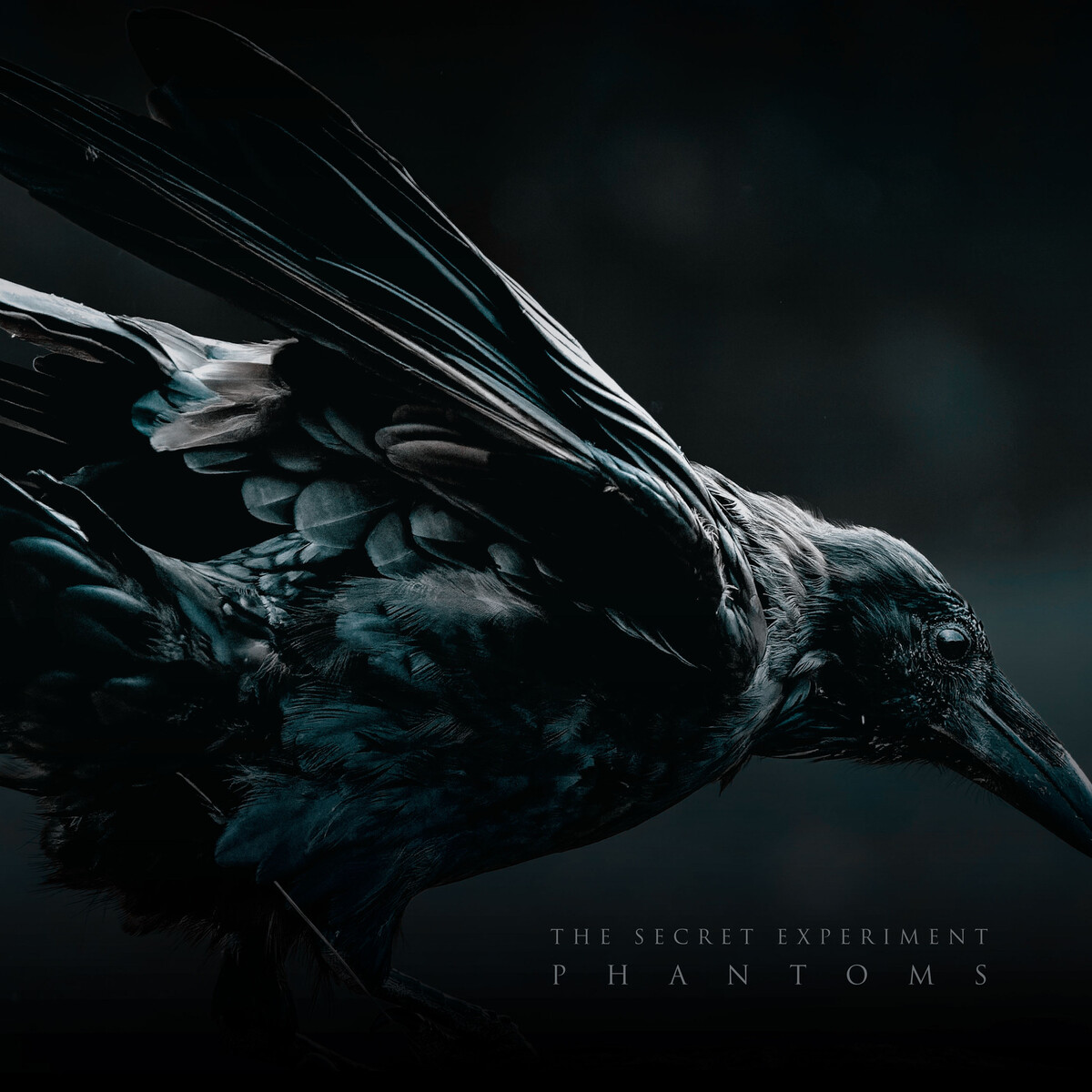 Phantoms by The Secret Experiment (Album): Reviews, Ratings, Credits ...