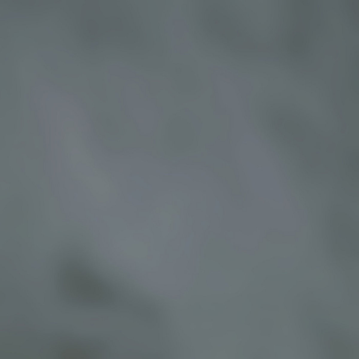 2006 Albums: songs, discography, biography, and listening guide - Rate ...