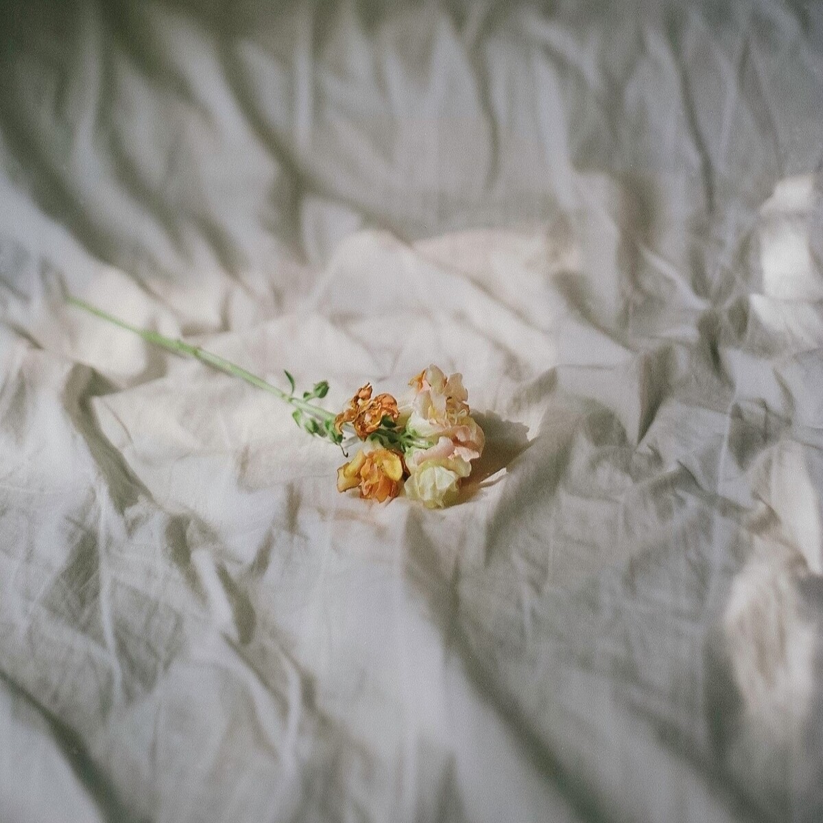 Saturday's Cab Ride Home Albums: songs, discography, biography, and ...