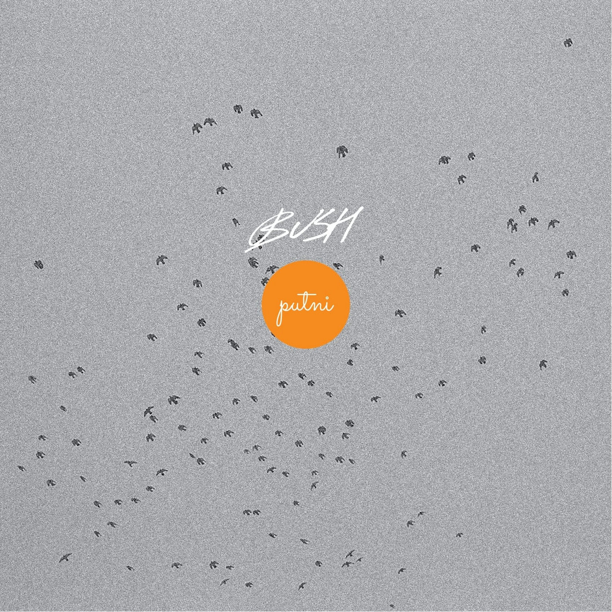 Bush Albums: songs, discography, biography, and listening guide - Rate ...