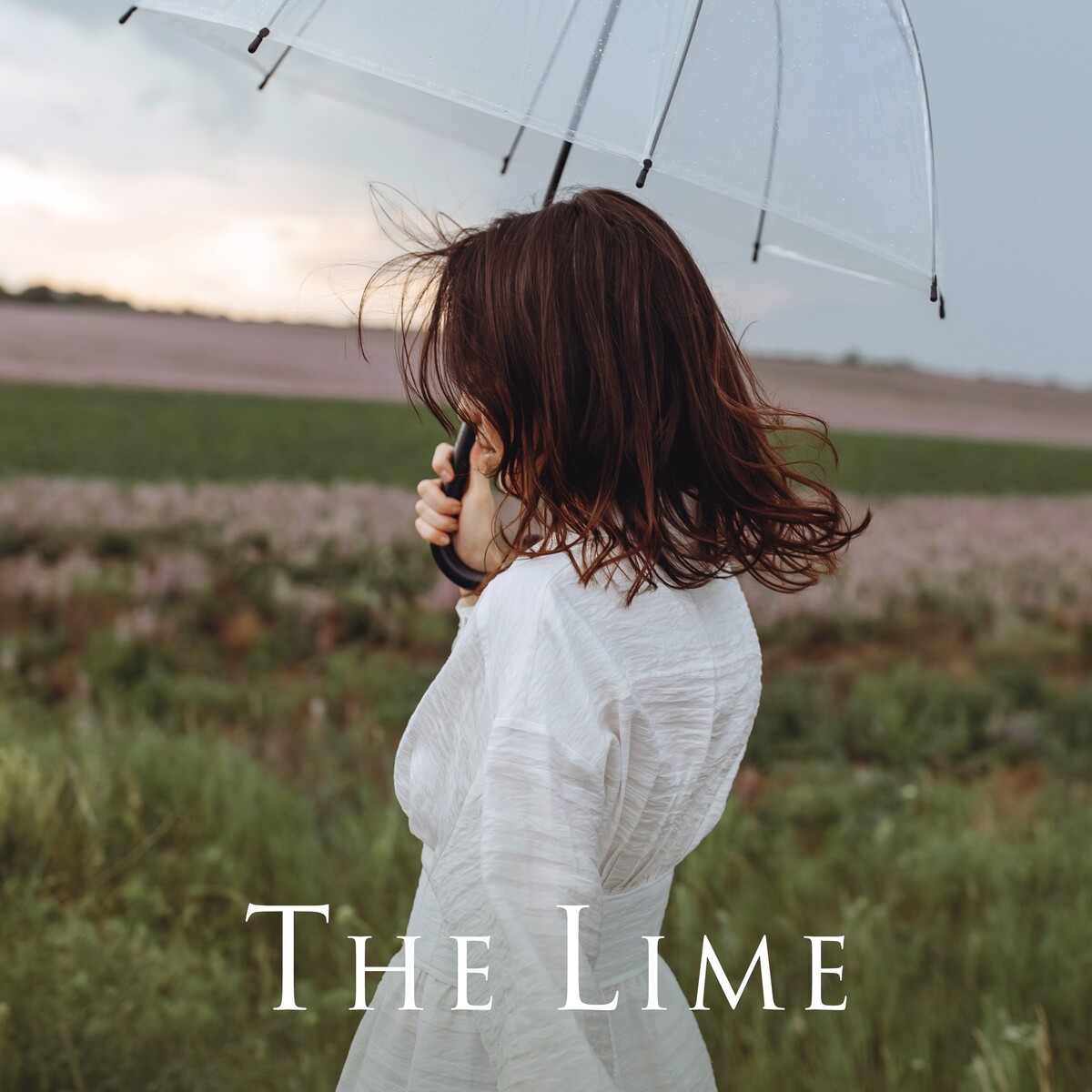 사랑아 이제 모두 안녕 by 더 라임 [The Lime] (Single): Reviews, Ratings, Credits ...