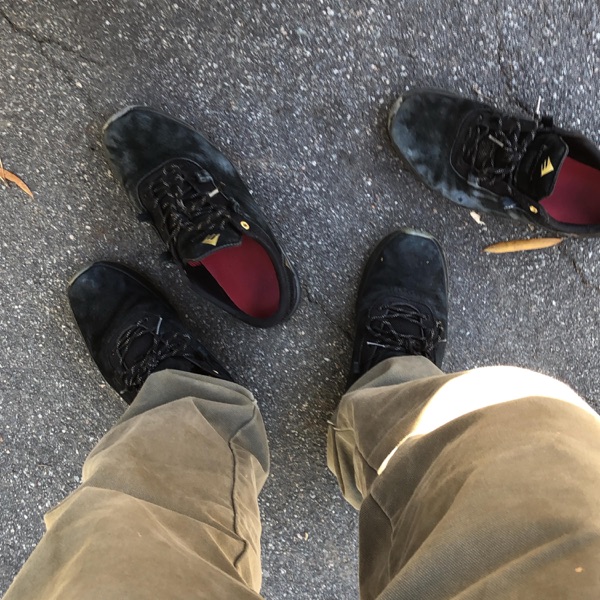 1doorcloses, 1dooropens by Harto Falión & Evilgiane (Single, Plugg ...