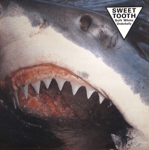 Sweet Tooth Albums: songs, discography, biography, and listening guide ...