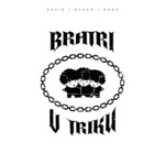 Dušan Vlk - Bratri v triku - Rate Your Music