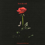 Billy Hoyle - Shootouts at Spaghetti Warehouse - Rate Your Music