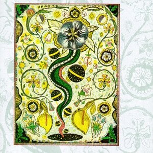 Best Steve Earle songs of all time - Rate Your Music