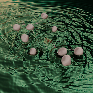 RAMZi - Spring Emu (River Yarra's Synthetic Band Remix) - Rate Your Music