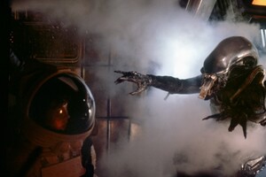 1979 Films Ranked - Rate Your Music