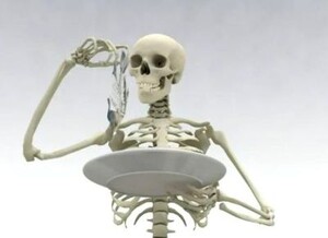 Bones (Film, Computer Animation): Reviews, Ratings, Cast and Crew ...