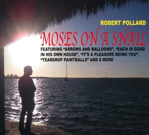 Robert Pollard - Ice Cold War - Rate Your Music