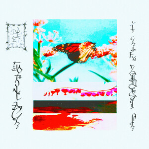 Best Black Metal albums of 2025 - Rate Your Music