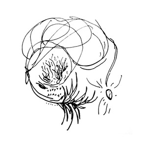 Luxury Mollusc - I; Soil Soaked Safe-Word Sub. Leaf-Litter Left Lying ...