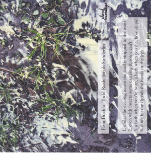 Ezra Buchla - Even With Insects Some Can Sing & Some Can't - Rate Your ...