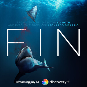 Fin (Film, Nature Documentary): Reviews, Ratings, Cast and Crew - Rate ...