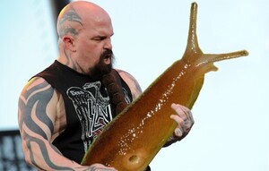 wasted life : a journal of everything entering my eye and ear holes ...