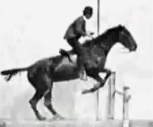 Man Riding Jumping Horse (Film, Actuality): Reviews, Ratings, Cast and ...