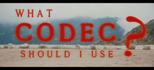 What Codec Should I Use? (Film, Absurdist Comedy): Reviews, Ratings ...