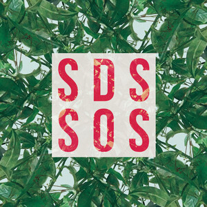 Surfistas del Sistema - SOS - Lyrics and ratings - Rate Your Music