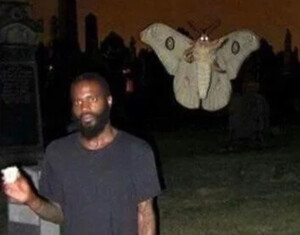 “Poll for the chronically online” PFP and Other Shit… Poll for ...