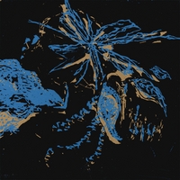 Best Cameron Wisch songs of all time - Rate Your Music