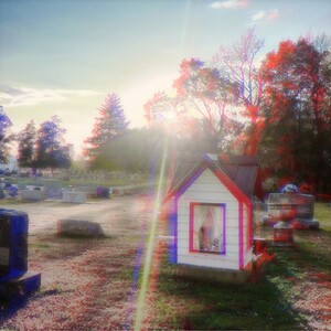Emily Bewley - The Dollhouse Grave of Lova Cline - Rate Your Music