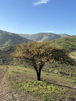 My Projects - Rate Your Music