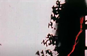 Bruine Squamma (Film, Structural Film): Reviews, Ratings, Cast and Crew ...