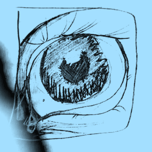 Dracula's Necrophobic Actions - Post-Op Jimmy Fallon - Rate Your Music