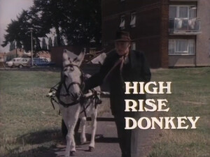 High Rise Donkey (Film): Reviews, Ratings, Cast and Crew - Rate Your Music
