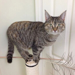 DJ Bus Replacement Service - Master Gunnery Sergeant Bill Dower - Warm ...