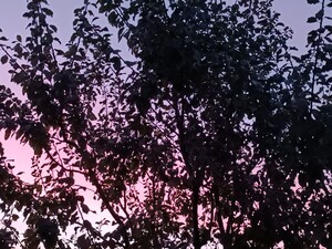 IDM / Braindance - The Hidden Gems - Rate Your Music