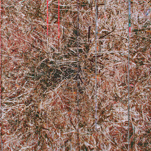 Goodbye the Band - Apocalypse Skipper (Unedited Edit) - Rate Your Music