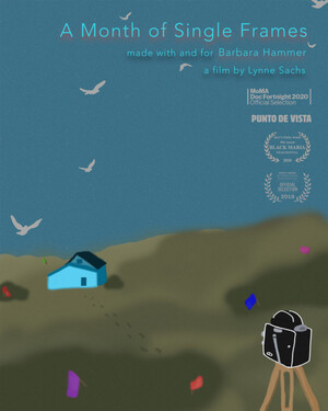 A Month of Single Frames (Film, Found Footage): Reviews, Ratings, Cast ...