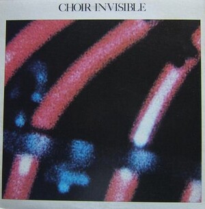 Choir Invisible - Quiet Place - Rate Your Music
