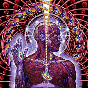 Tool Studio Albums Ranked - Rate Your Music