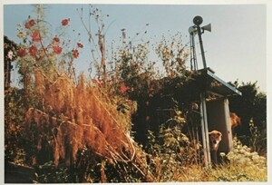 Jangle Pop - A Comprehensive Collection - Rate Your Music