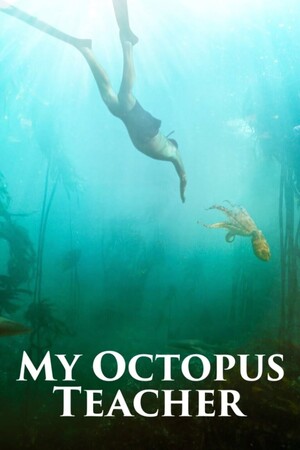 My Octopus Teacher (Film, Sea Exploration): Reviews, Ratings, Cast and ...