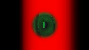 Who's Afraid of RGB (Film): Reviews, Ratings, Cast and Crew - Rate Your ...