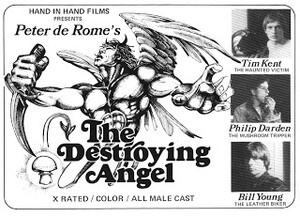 The Destroying Angel (Film, Psychological Horror): Reviews, Ratings ...