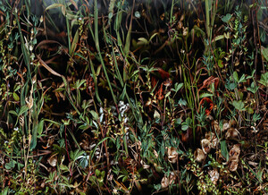 What Wide Web? (Film): Reviews, Ratings, Cast and Crew - Rate Your Music