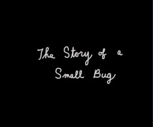 The Story of a Small Bug (Film, Nature Documentary): Reviews, Ratings ...