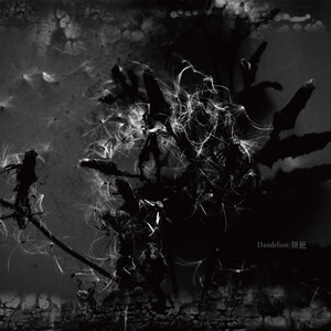 Best Visual kei albums of 2026 - Rate Your Music