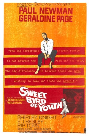 Sweet Bird of Youth (Film, Drama): Reviews, Ratings, Cast and Crew ...