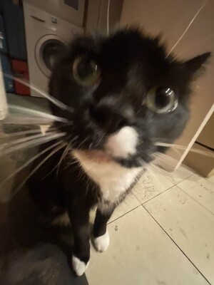 25 to 1000 - end/beginning of year project - Rate Your Music