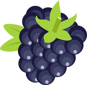 RYM Top Albums Ranked - Rate Your Music