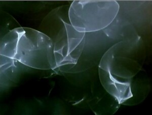 Comingled Containers (Film, Abstract Film): Reviews, Ratings, Cast and ...