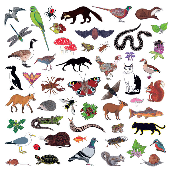 Modern Nature Albums: songs, discography, biography, and listening ...