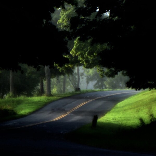 Treehouse by Alex G (Single, Bedroom Pop): Reviews, Ratings, Credits ...