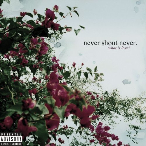 Never Shout Never Albums: songs, discography, biography, and listening guide - Rate Your Music