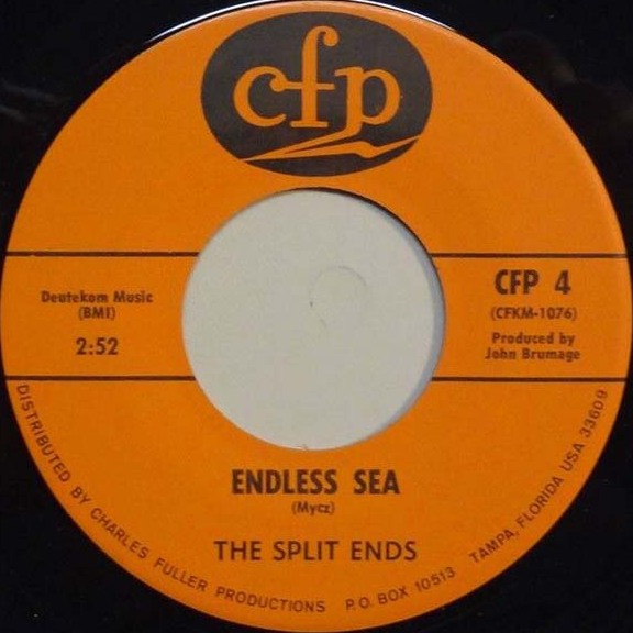 Endless Sea / Rich With Nothin' by The Split Ends (Single, Garage Rock ...